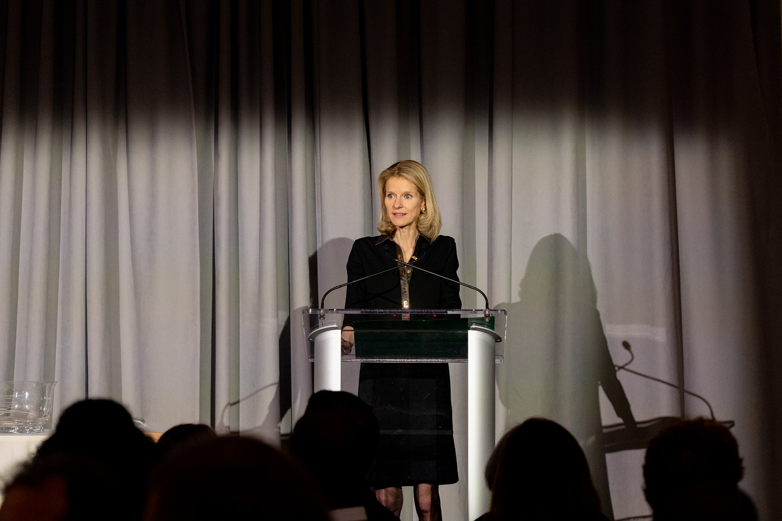Celebrating Our History—Building Our Future - Harvard Law School Center ...